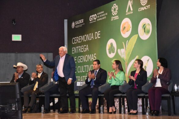 Biofase: bioplástico a base de hueso de aguacate - Cultiva Futuro