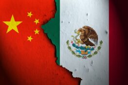 El Grupo Chapalote: Una Diversidad de Maíz - Cultiva Futuro