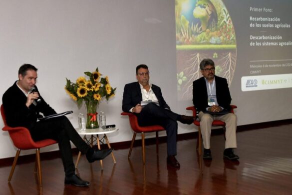 Biofase: bioplástico a base de hueso de aguacate - Cultiva Futuro